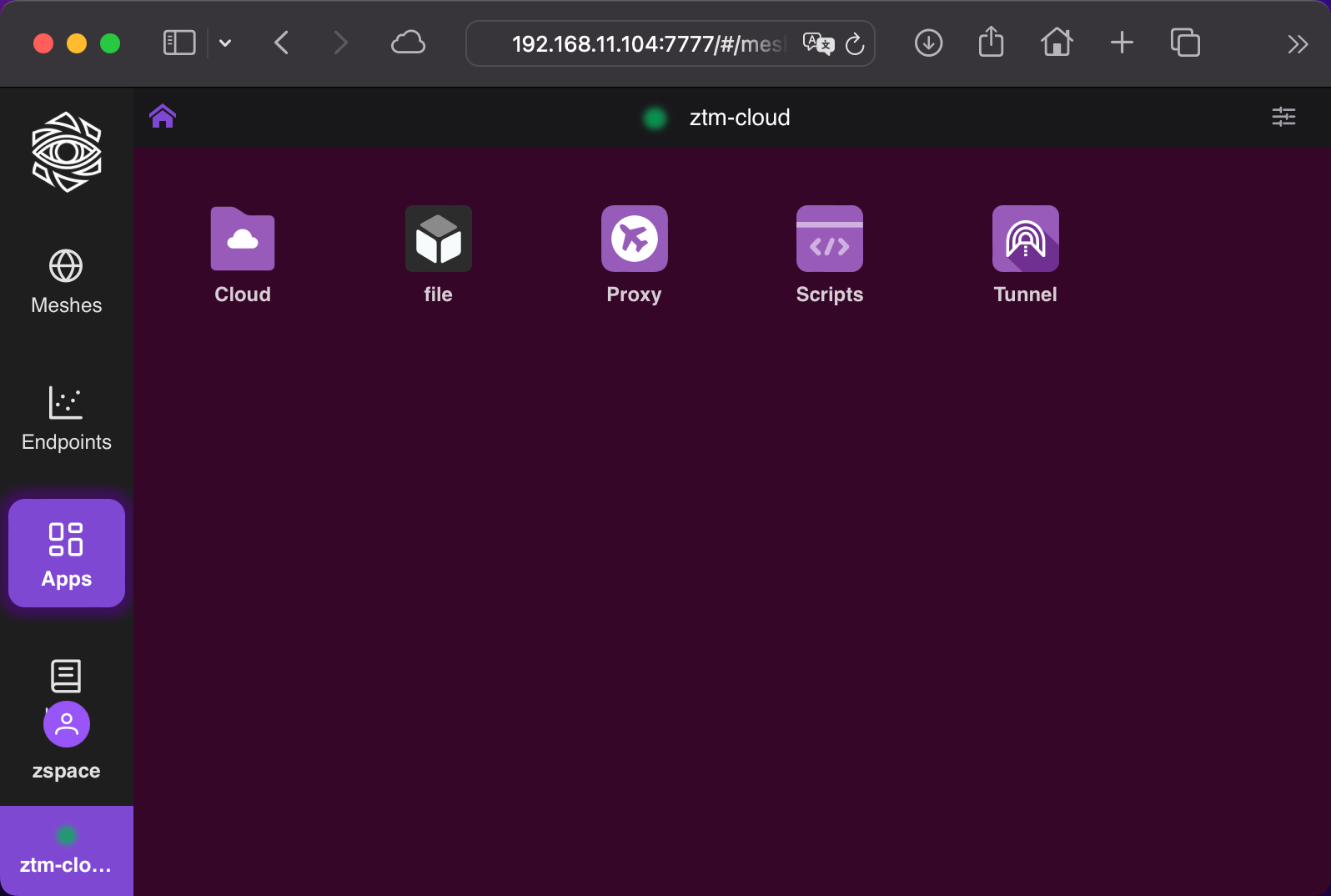 使用 ZTM 增强极空间 NAS 的远程访问能力
